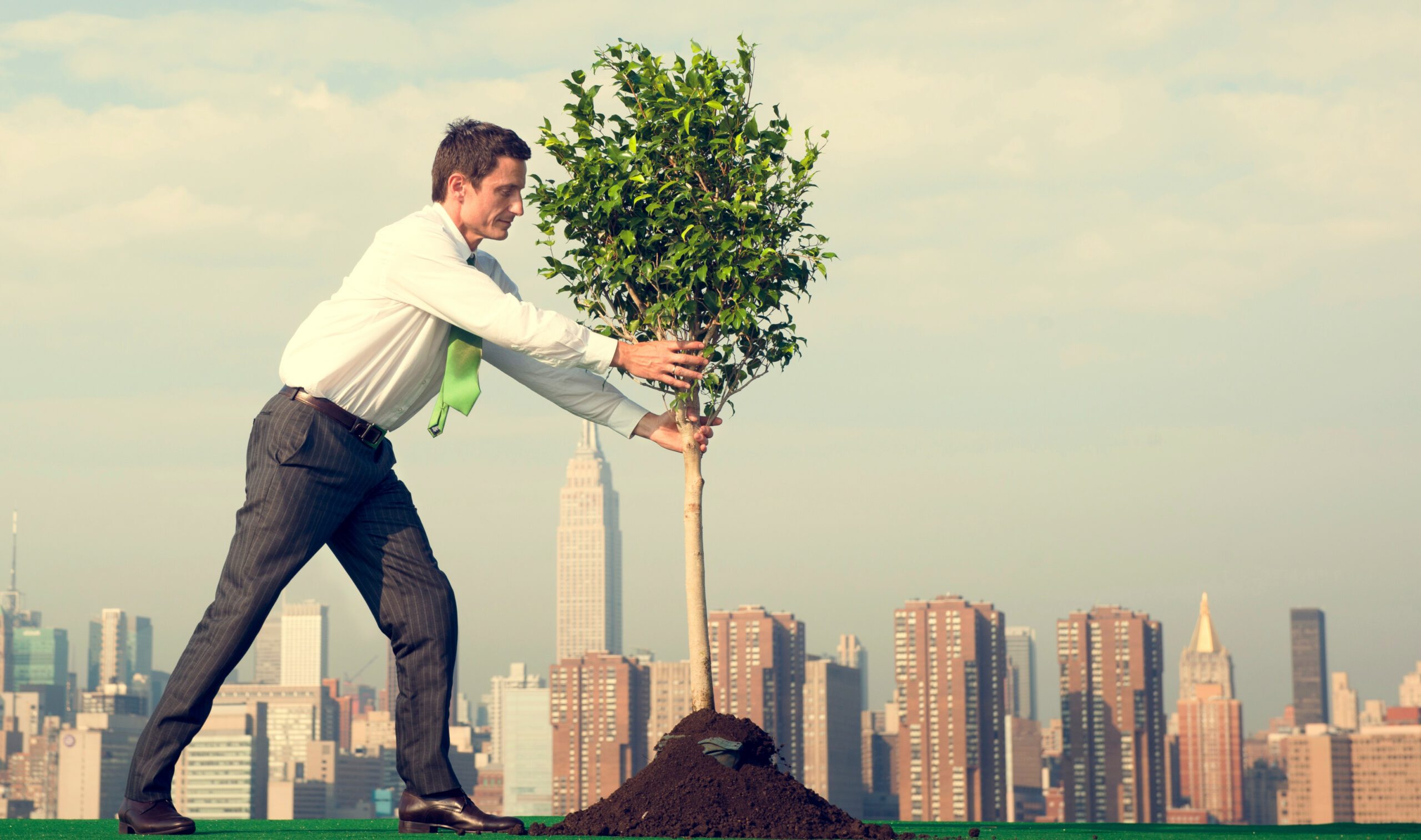 Why Do We Need Trees? - johnpatrick.com